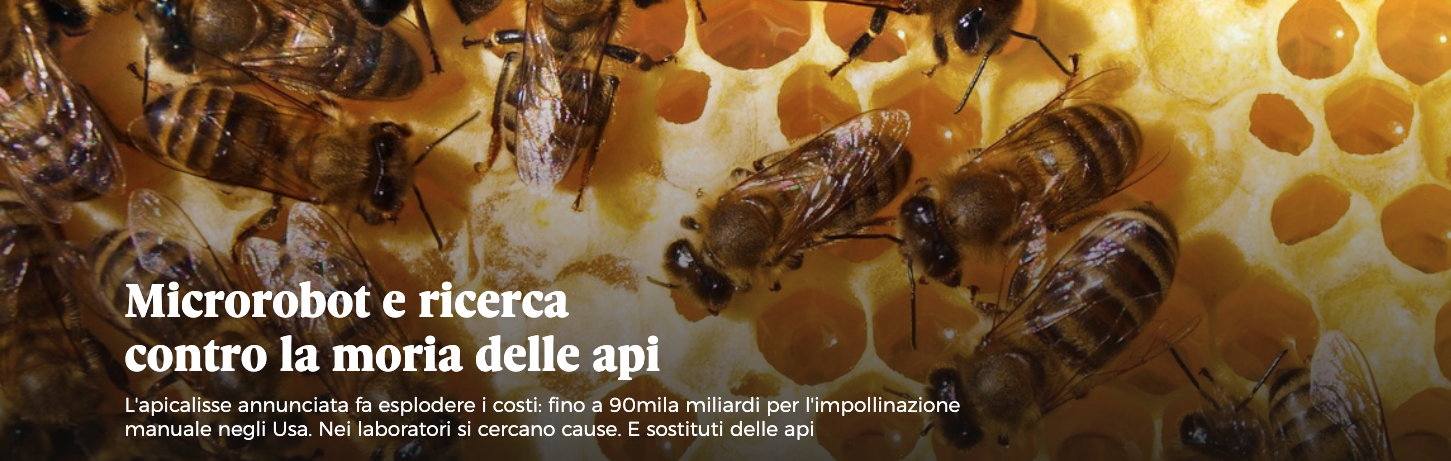 dynamo | Microrobot e ricerca contro la moria delle api